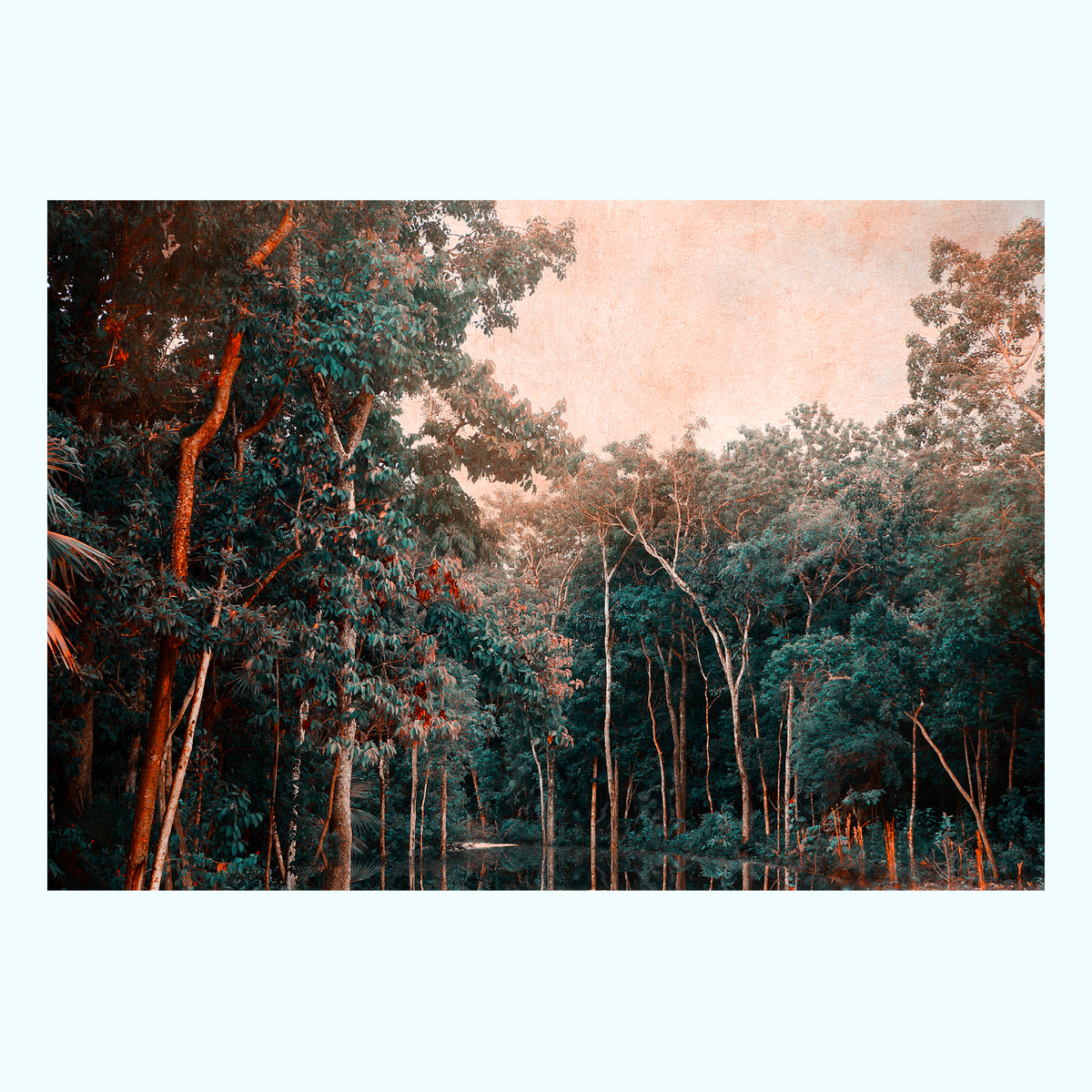 Akumal Tn Art Print | 55MAX