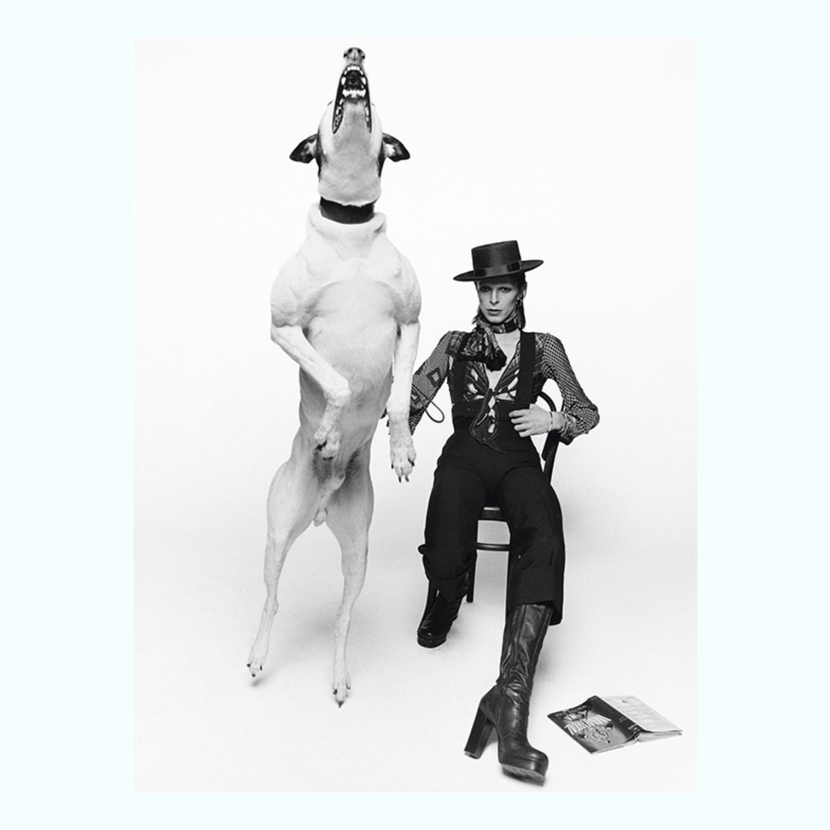 David Bowie for Diamond Dogs, 1974 Art Print | 55MAX