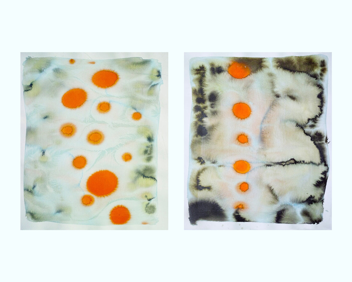 Orange Reed Art Print Set | 55MAX