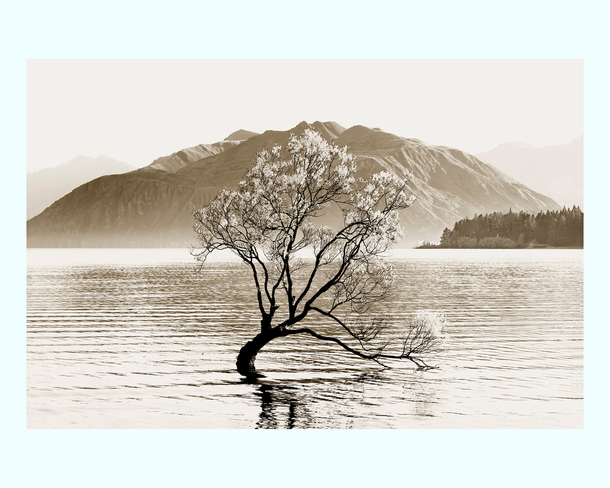 Wanaka Art Print | 55MAX